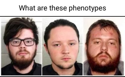 What are these phenotypes - iFunny