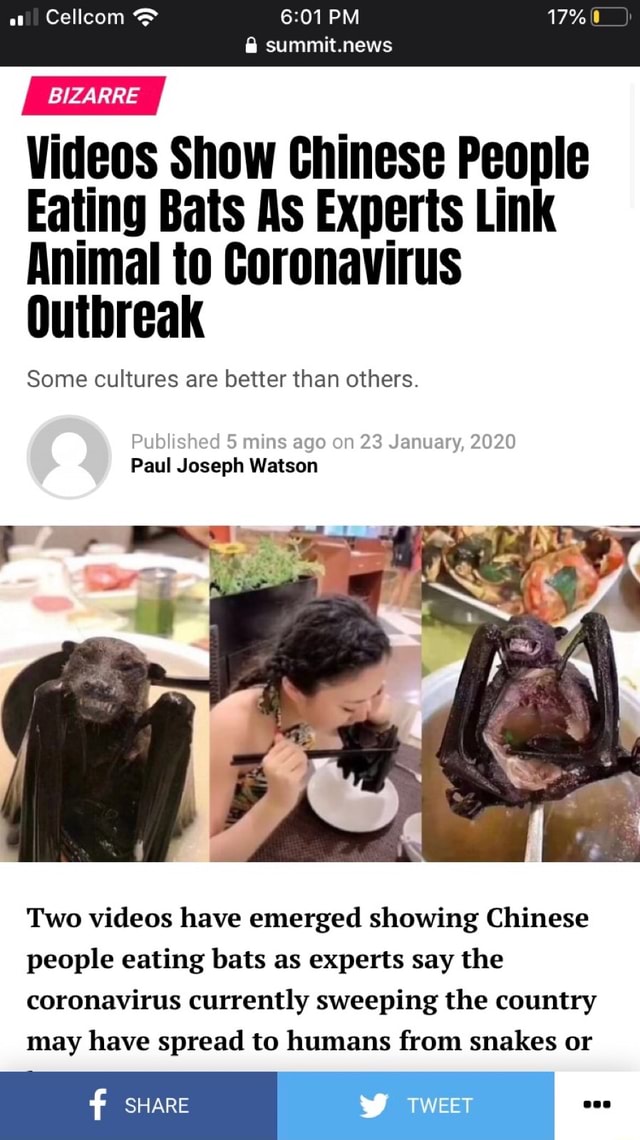 BIZARRE Videos Show Chinese People Eating Bats As Experts Link Animal ...