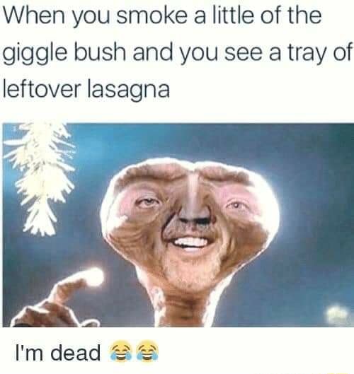 When you smoke a little of the giggle bush and you see a tray of ...