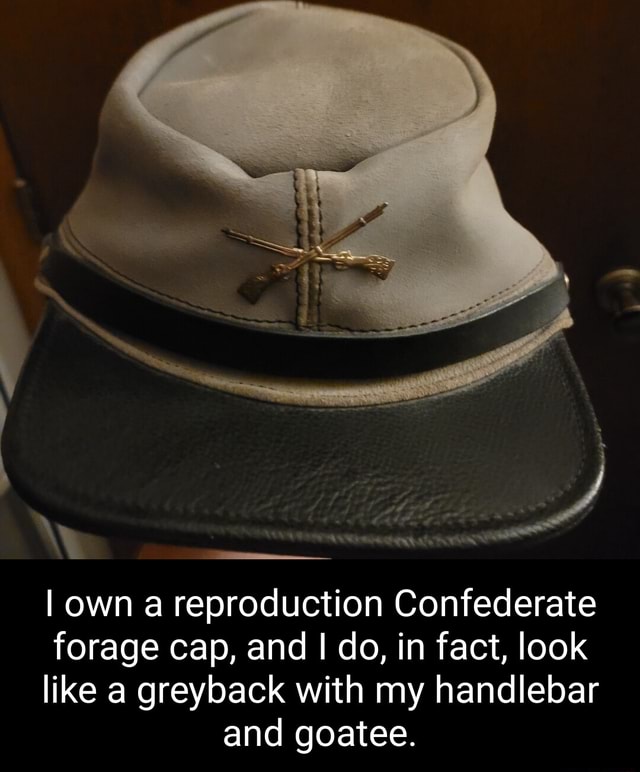 I own a reproduction Confederate forage cap, and I do, in fact, look ...
