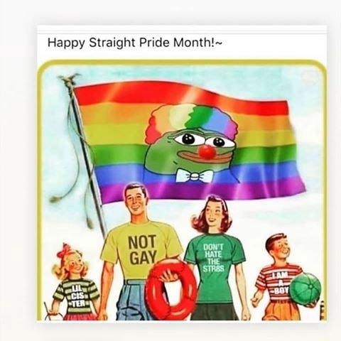 Happy Straight Pride Month!- - iFunny