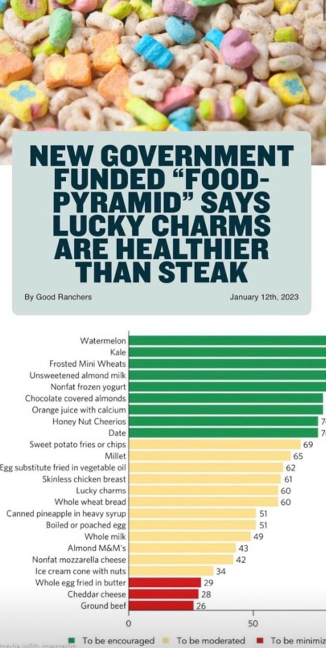 NEW GOVERNMENT FUNDED "FOOD- PYRAMID" SAYS LUCKY CHARMS ARE HEALTHIER ...