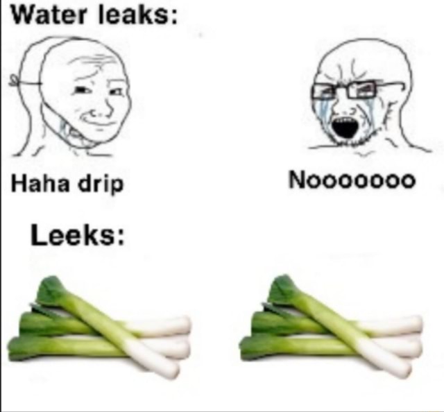 Water leaks: Haha drip Leeks: - iFunny
