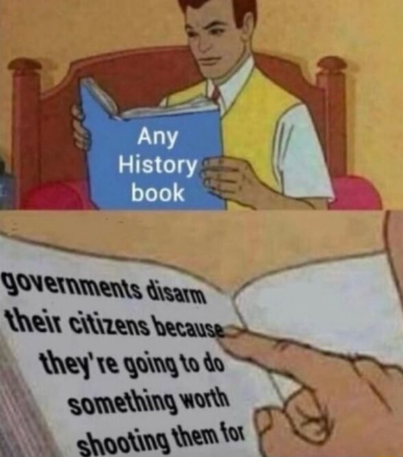 Any History book YOVernMents disarm ~ Weit iizens becay rey' re qoing ...