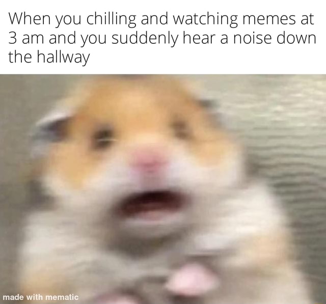 When you chilling and watching memes at 3 am and you suddenly hear a ...