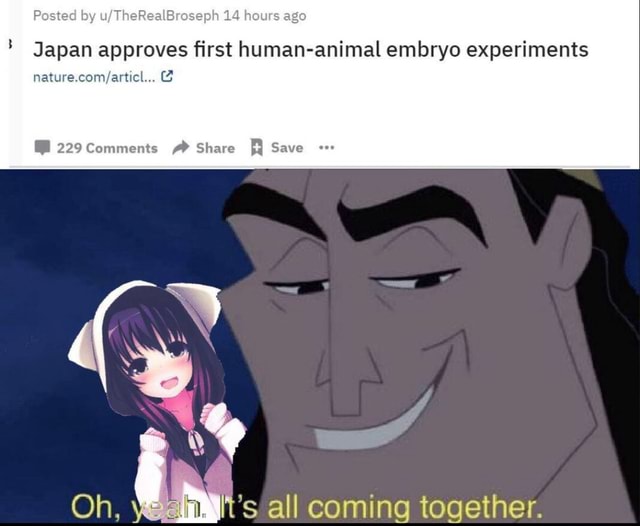 ' Japan approves first human-animal embryo experiments nature.com ...