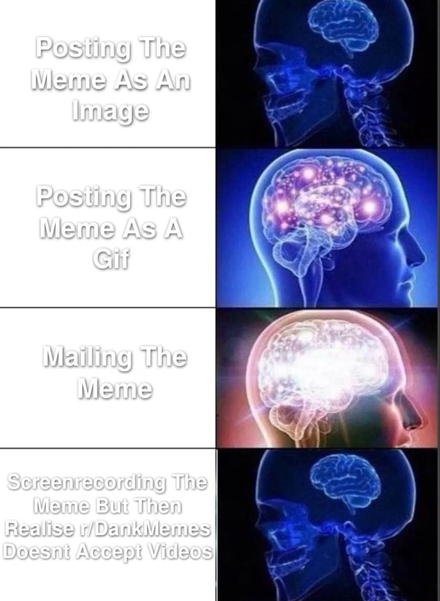 Positing The Meme As An Mage Positing The Meme As A Mailing The Meme ...