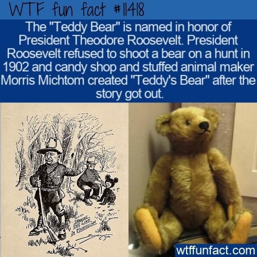 WT? fun The "Teddy Bear" is named in honor of President Theodore ...