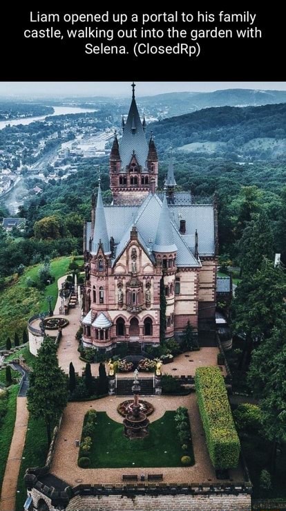 Liam opened up a portal to his family castle, walking out into the ...