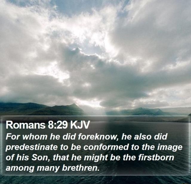 Romans KJV For whom he did foreknow, he also did predestinate to be ...