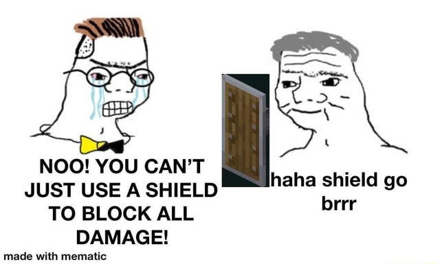 NOO! YOU CAN'T JUST USE A SHIELD TO BLOCK ALL brrr DAMAGE! haha shield ...
