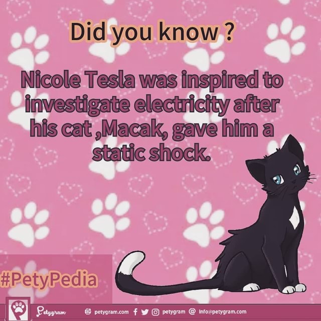 Did you know Nicole Tesla was inspired to investigate electricity after ...