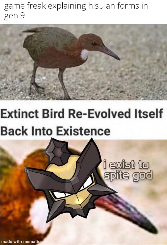 Game freak explaining hisuian forms in gen 9 Extinct Bird Re-Evolved ...