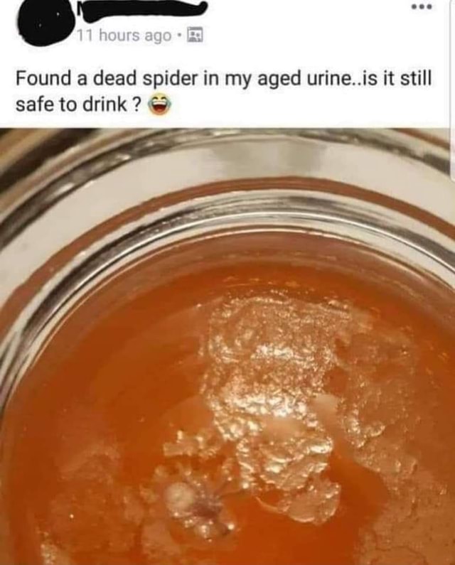 Found a dead spider in my aged urine..is it still safe to drink ? Q ...