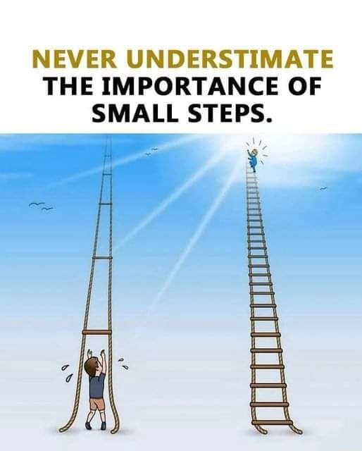 NEVER UNDERSTIMATE THE IMPORTANCE OF SMALL STEPS. - iFunny