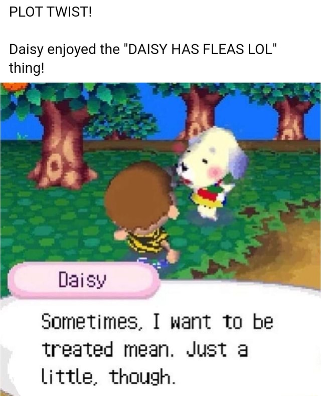 PLOT TWIST! Daisy enjoyed the "DAISY HAS FLEAS LOL" thing! Daisy ...