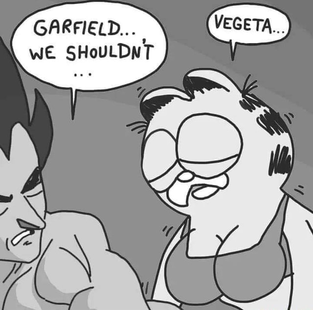 GARFIELD... WE SHoULDNT - iFunny