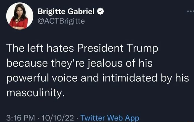 Brigitte Gabriel @ @ACTBrigitte The left hates President Trump because ...