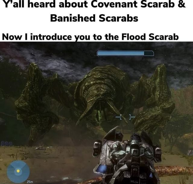 Eard about Covenant Scarab & Banished Scarabs Now I introduce you to ...