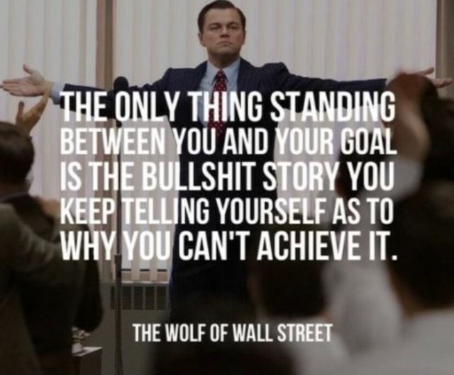 THE ONLY THING STANDING BETWEEN YOU AND YOUR GOAL IS THE BULLSHIT STORY ...