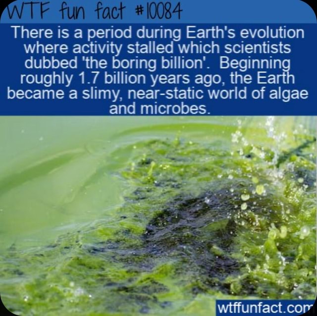 ANT There is a period during Earth's evolution where activity stalled ...