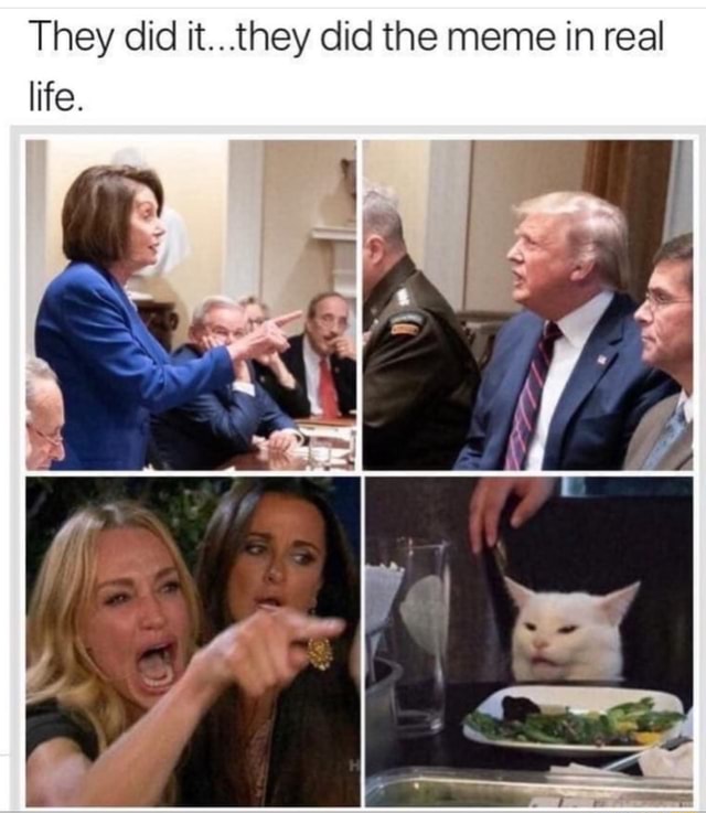 They did it,..they did the meme in real life. - iFunny