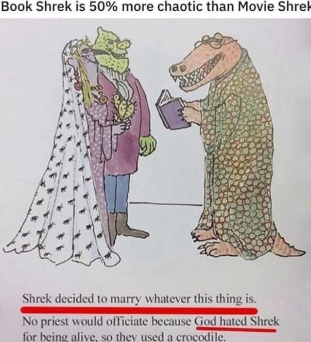 Book Shrek is 50% more chaotic than Movie Shrek Shrek decided to marry ...