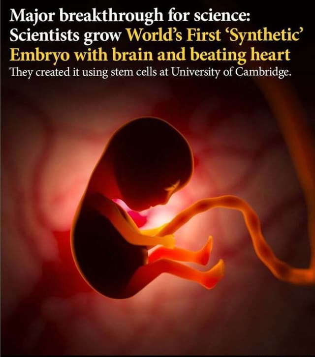 Major breakthrough for science: Scientists grow World's First ...