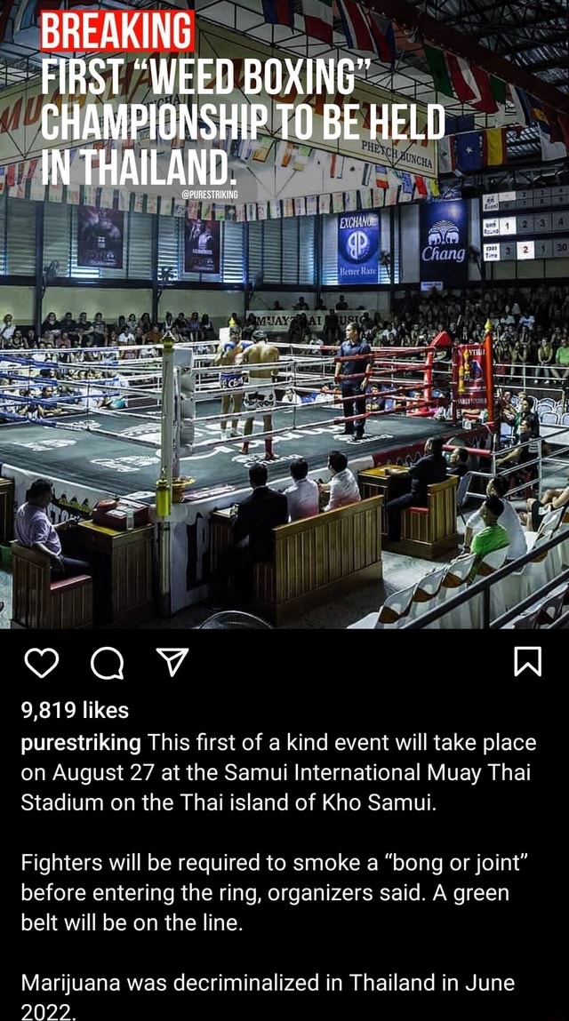 BREAKING FIRST "WEED BOXING" CHAMPIONSHIP TO BE HELD IN THAILAND. Chang ...