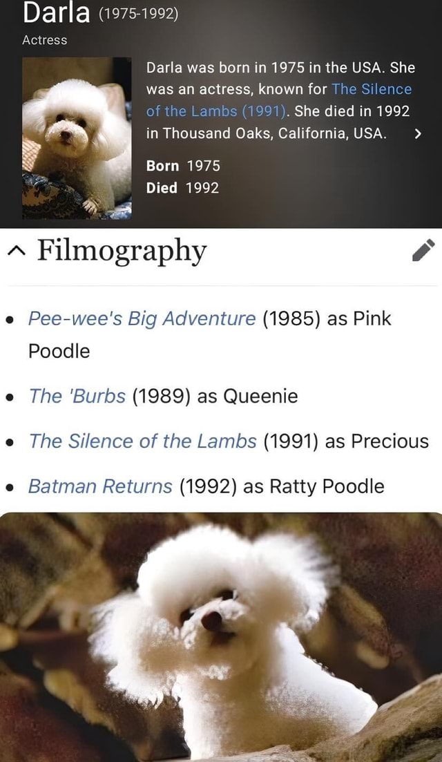 Darla (1975-1992) Actress Darla was born in 1975 in the USA. She was an ...