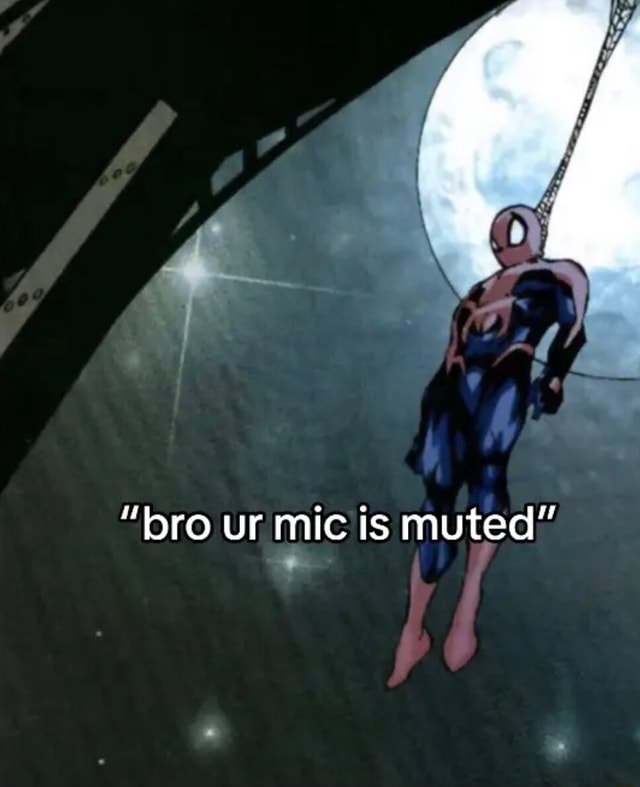 "bro ur mic is muted" - iFunny