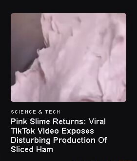SCIENCE & TECH Pink Slime Returns: Viral TikTok Video Exposes ...
