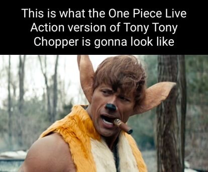 This is what the One Piece Live Action version of Tony Tony Chopper is ...