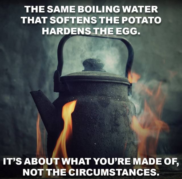 THE SAME BOILING WATER THAT SOFTENS THE POTATO HARDENS THE EGG. IT'S ...
