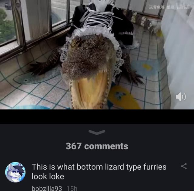367 comments This is what bottom lizard type furries