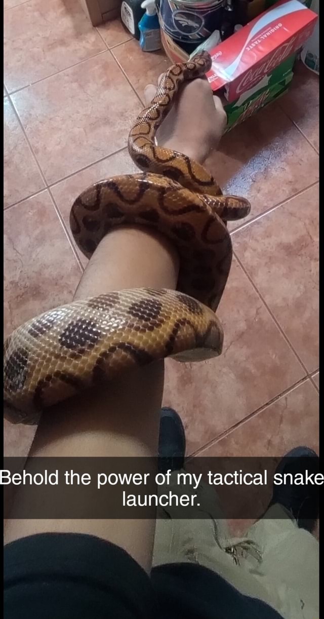 Behold the power of my tactical snake launcher. ax, - iFunny