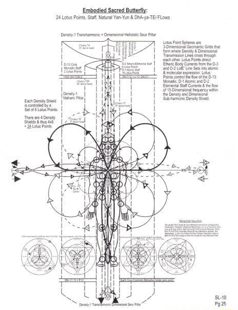 Embodied Sacred Butterfly: Lotus Pins, Sla, Natural Yun & DMye-TEi ...