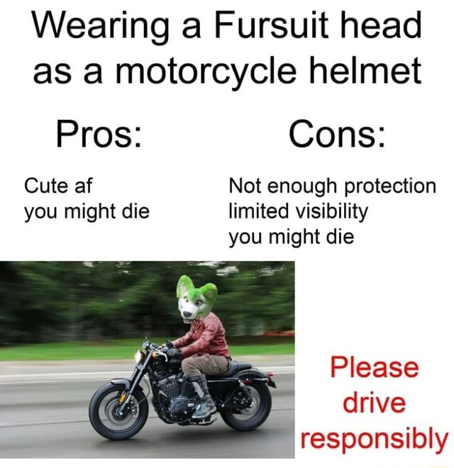 Wearing a Fursuit head as a motorcycle helmet - iFunny