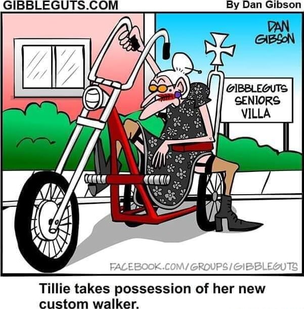 By Dan Gibson Tillie takes possession of her new custom walker ...