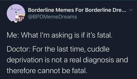 Borderline Memes For Borderline Dre... @BPDMemeDreams Me: What I'm ...