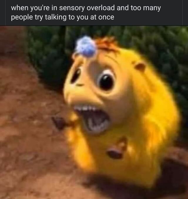 When you're in sensory overload and too many people try talking to you ...