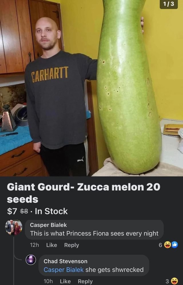 Giant Gourd- Zucca melon 20 seeds $7 $8 - In Stock Casper Bialek wi ...