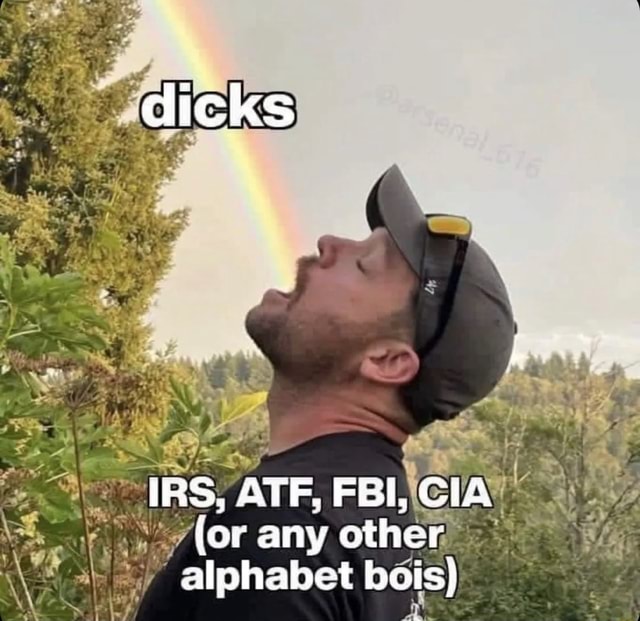 Dicks IRS, ATF, FBI, CiA jor any other alphabet bois) - iFunny