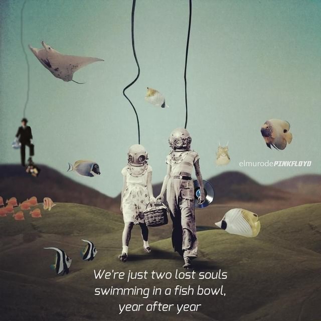 We We're just two lost souls swimming in a fish bowl, year after year ...