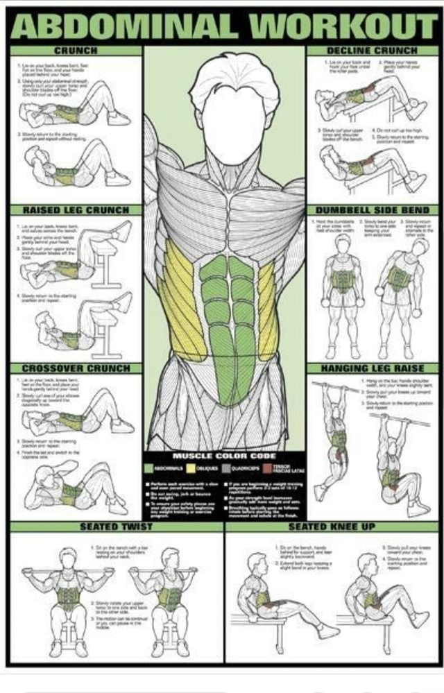 ABDOMINAL WORKOUT HAN MUSCLE COLOR CODE - iFunny