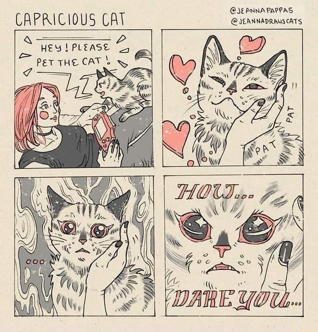 CAPRICIOUS CAT QIEPNNAPAPPAS - iFunny