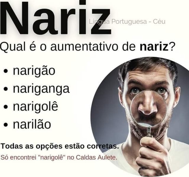 Nariz Qual é o aumentativo de nariz? narigão nariganga narigolê narilão ...