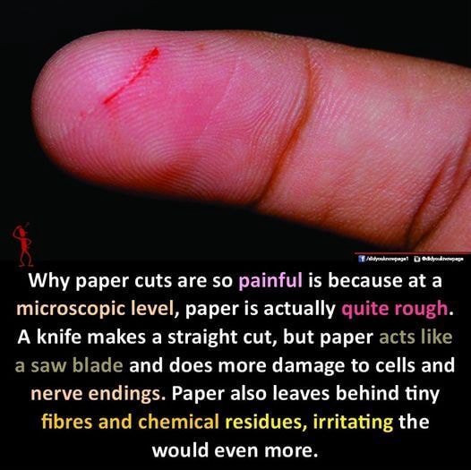 Why paper cuts are so painful is because at a microscopic level, paper ...