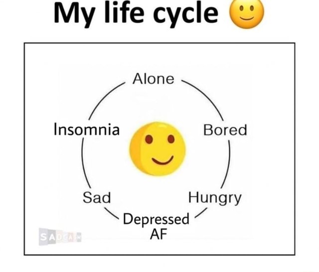 My life cycle © Sad Hungry \ Depressed / AF - iFunny
