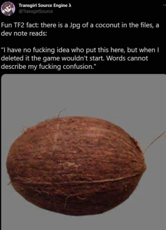 Fun fact there is a Jog of a coconut in the files, a dev note reads ...